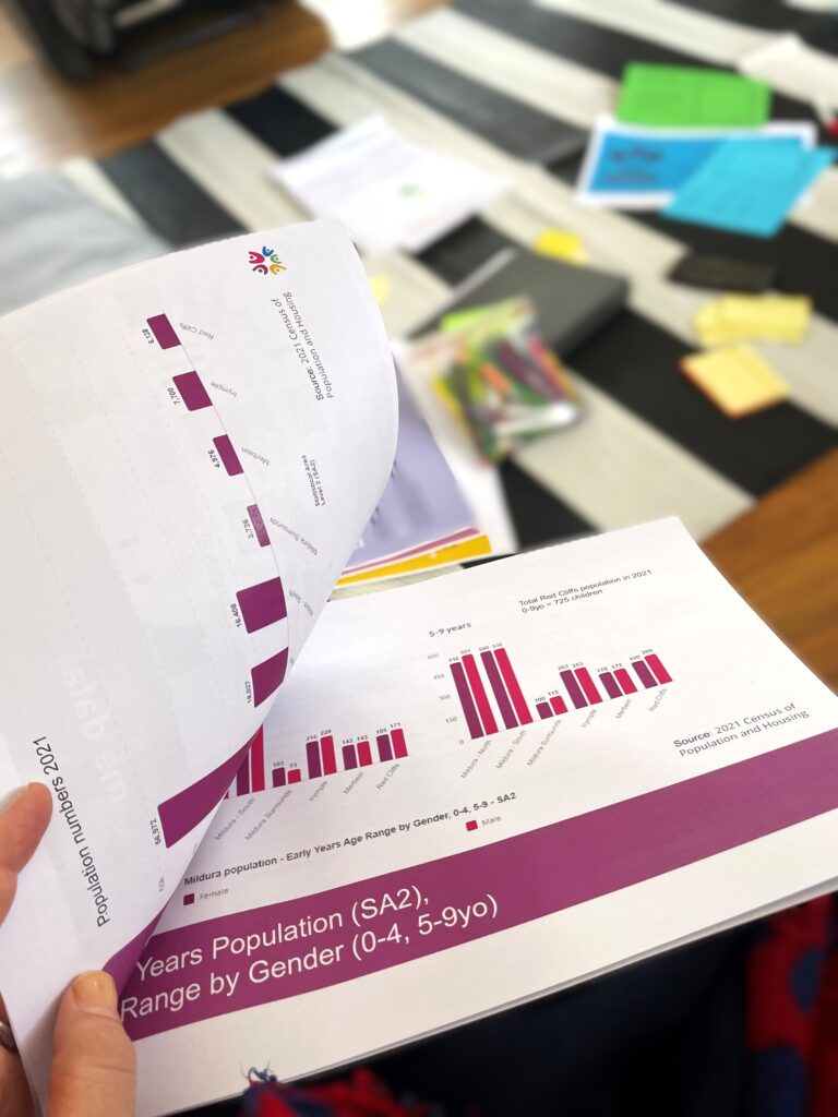 Planning and Progress - Hands Up Mallee